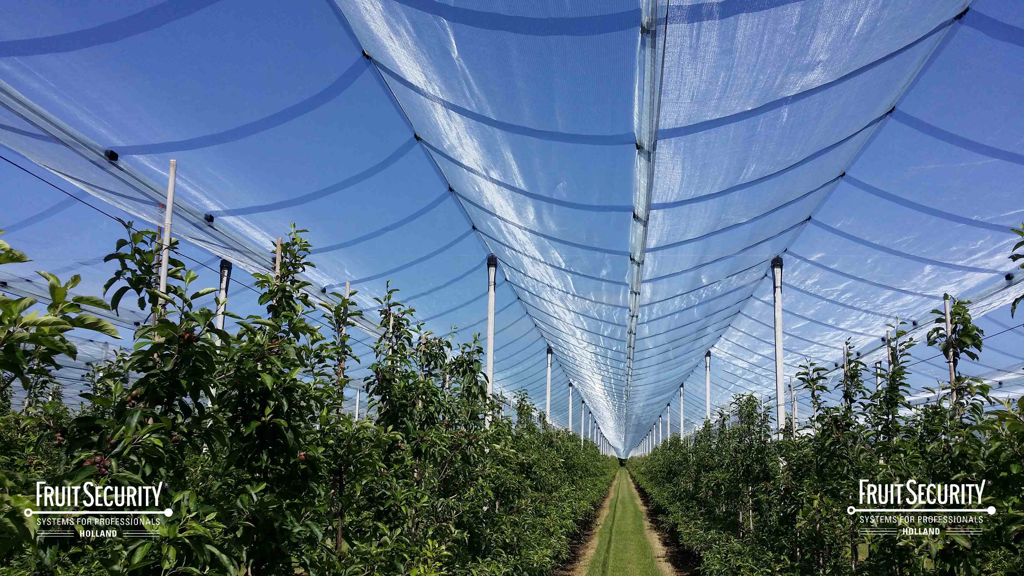 Fruitteeltonline de website voor fruittelers in Nederland en Belgie